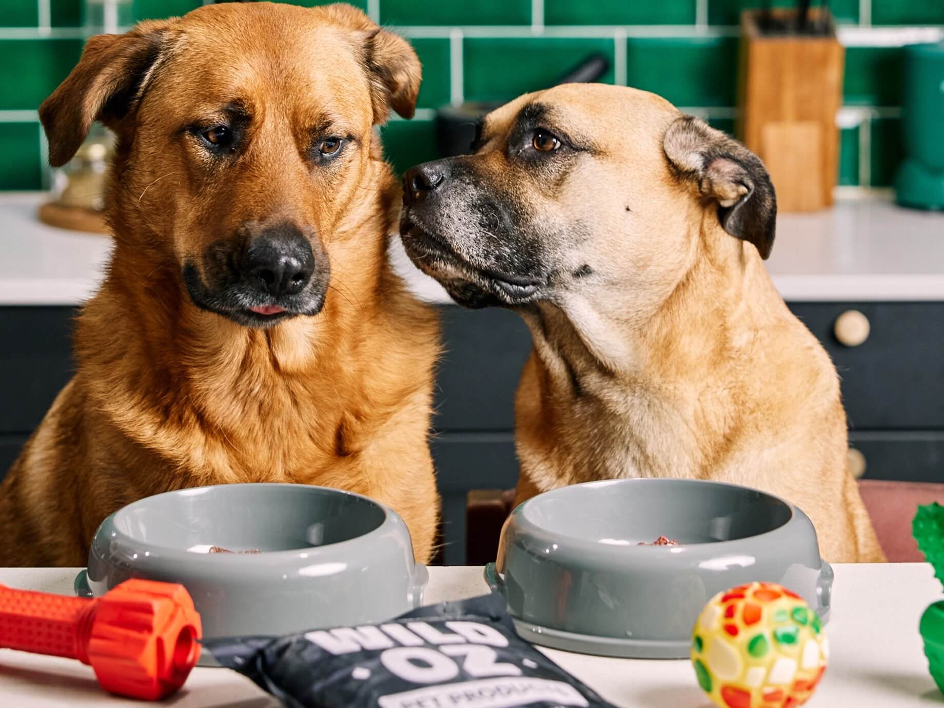 Why Pet Nutritionist Loves Game Meats – wild-oz