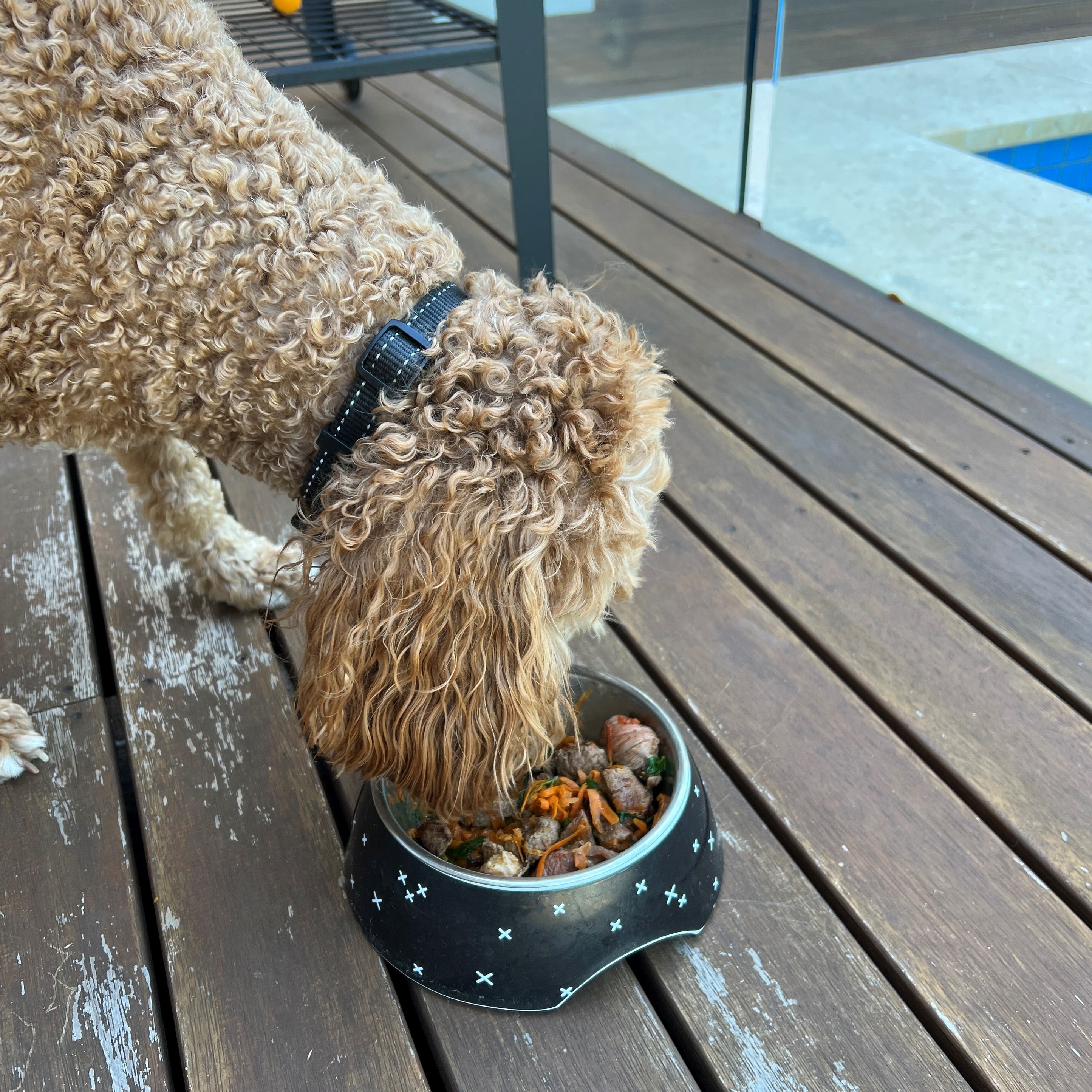 Raw diced kangaroo pet food 500g – wild-oz